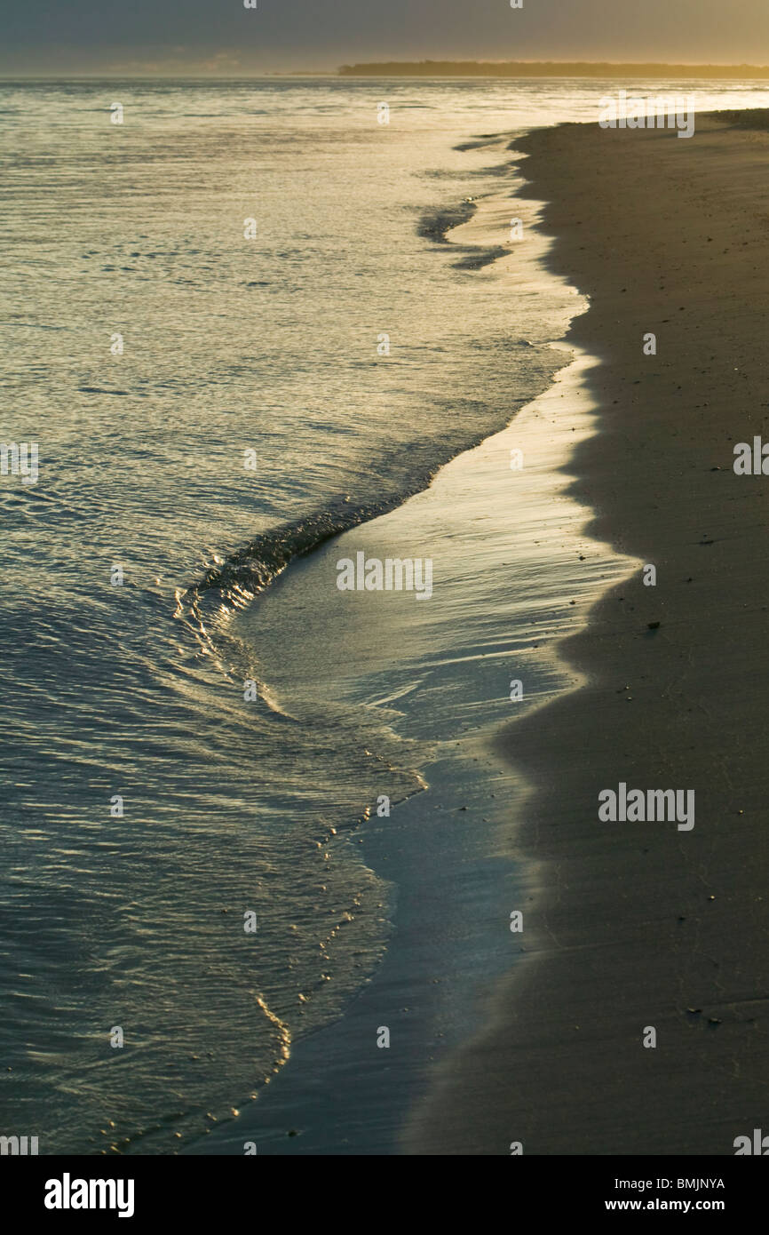 Shoreline at the ocean Stock Photo - Alamy