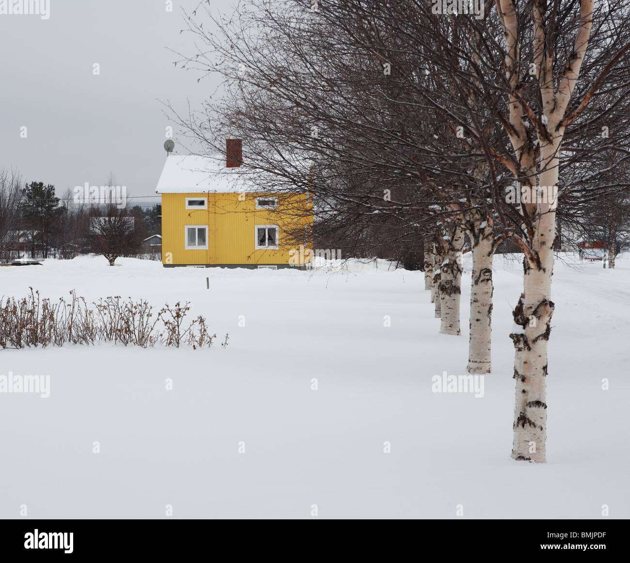 Scandinavian row house and tree hi-res stock photography and images - Alamy