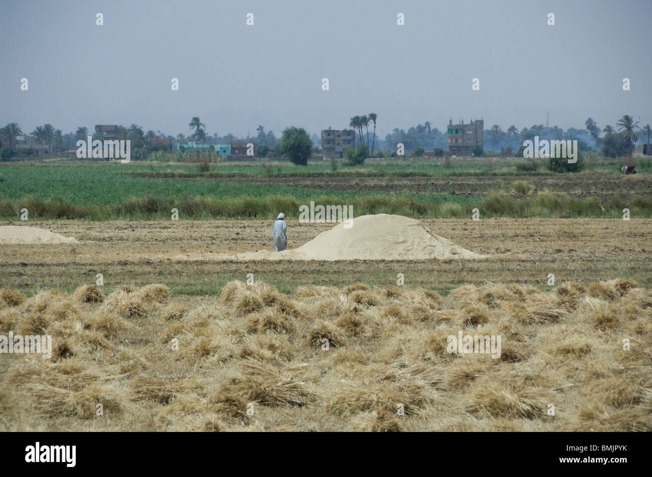 Holy grain hi-res stock photography and images - Alamy