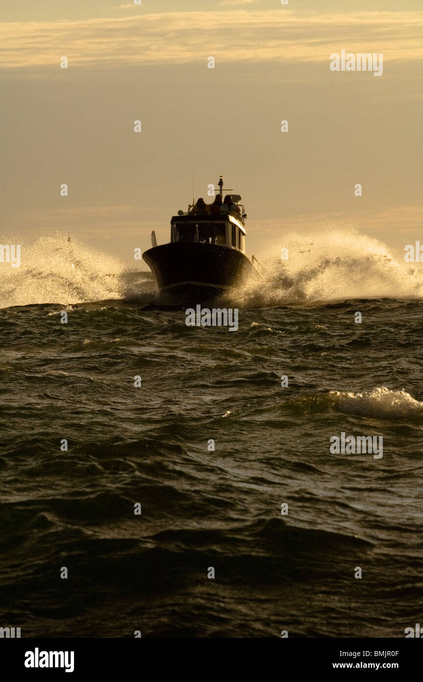 A boat driving fast on the ocean Stock Photo - Alamy