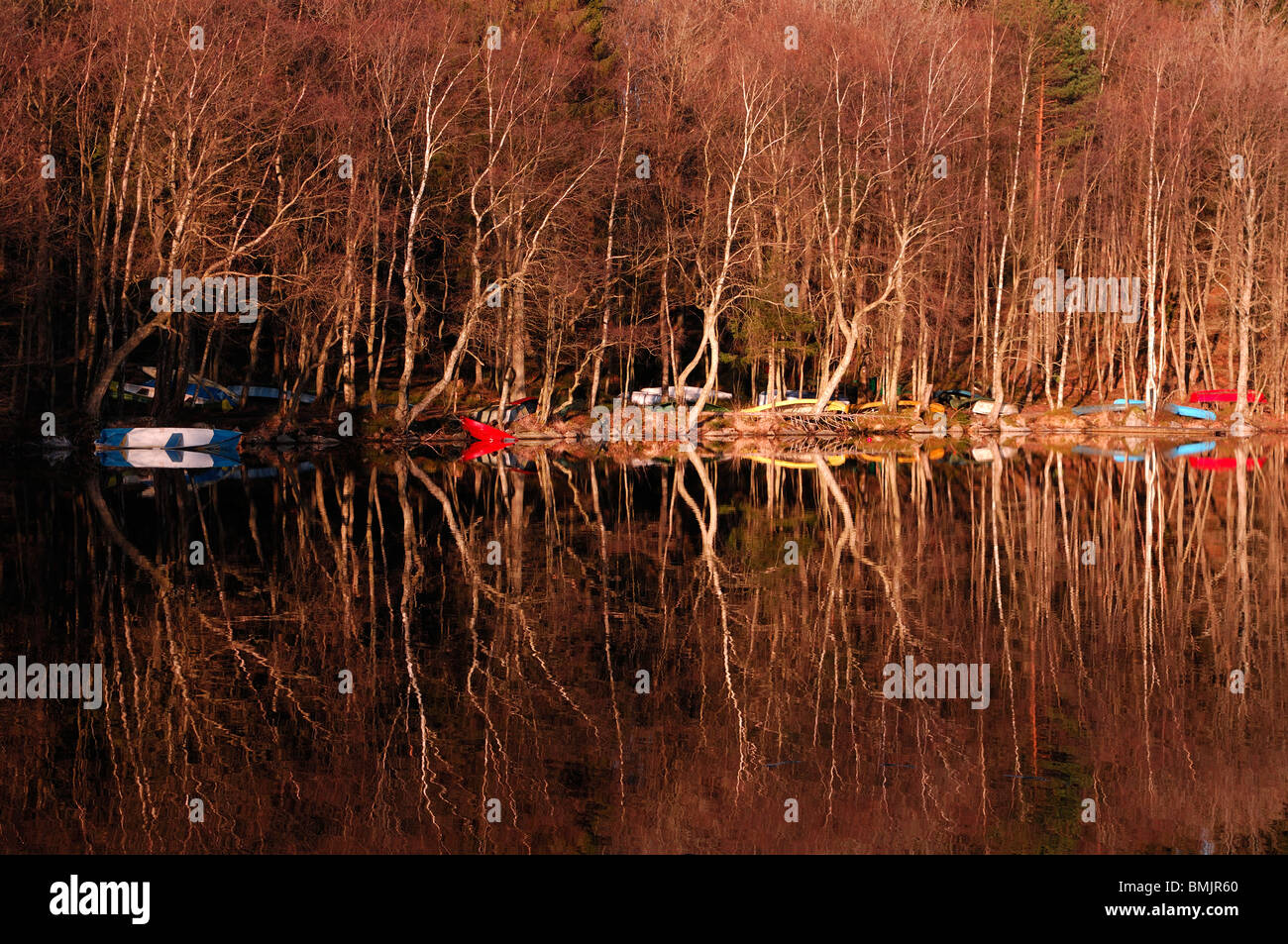 Trees and boats reflecting boats in lake Stock Photo - Alamy