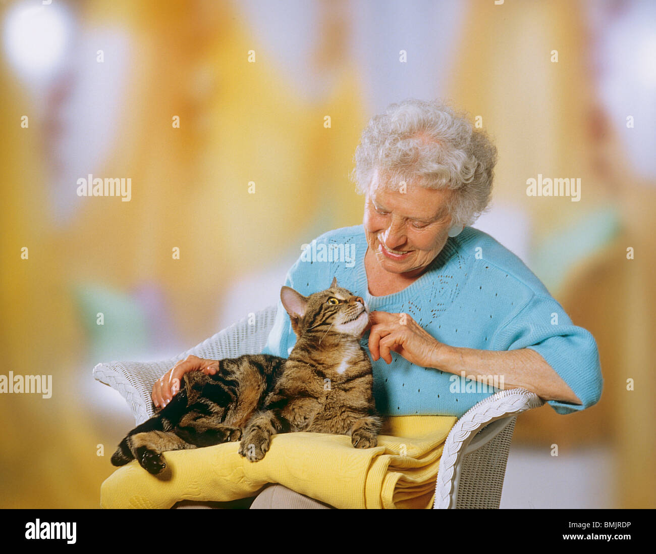 Old woman and her cats hi-res stock photography and images - Alamy
