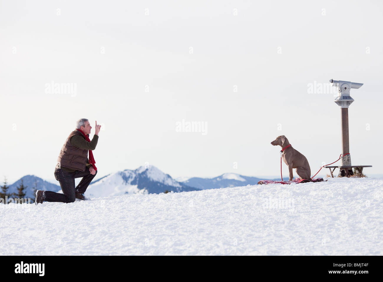 Animal teaching human hi-res stock photography and images - Alamy