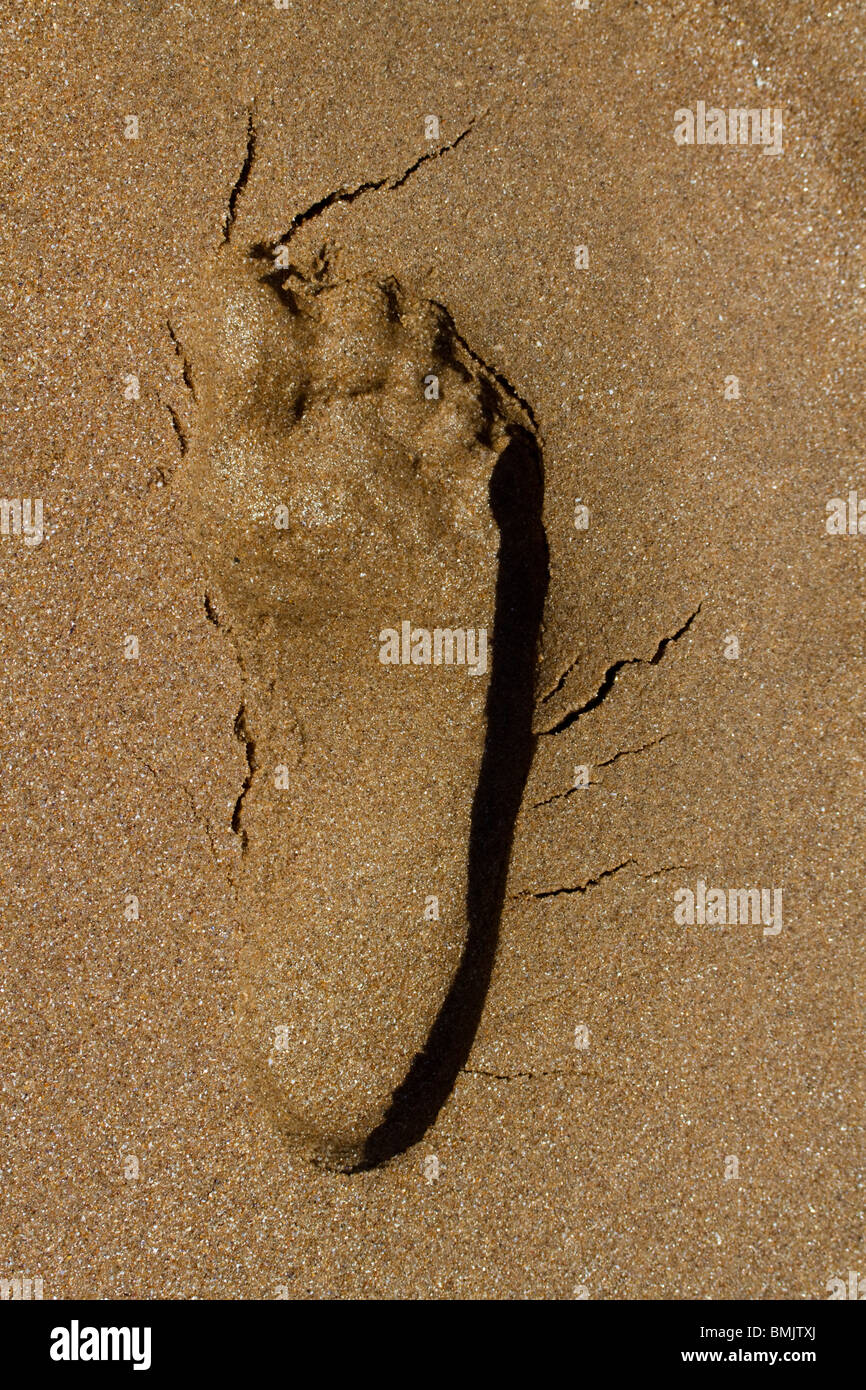 Human foot trace hi-res stock photography and images - Alamy