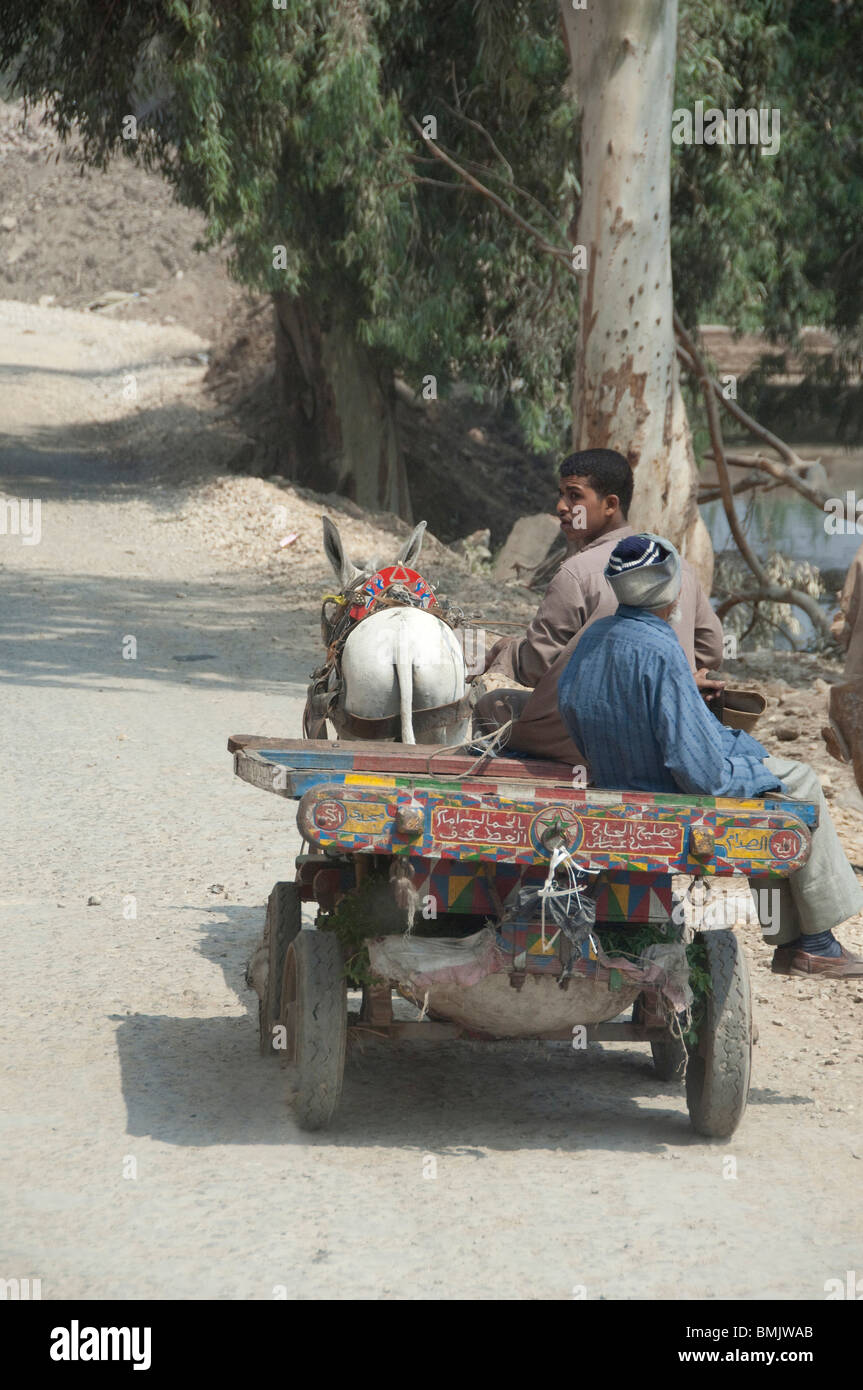 Egypt, Cairo. Everyday life in downtown Cairo Stock Photo - Alamy