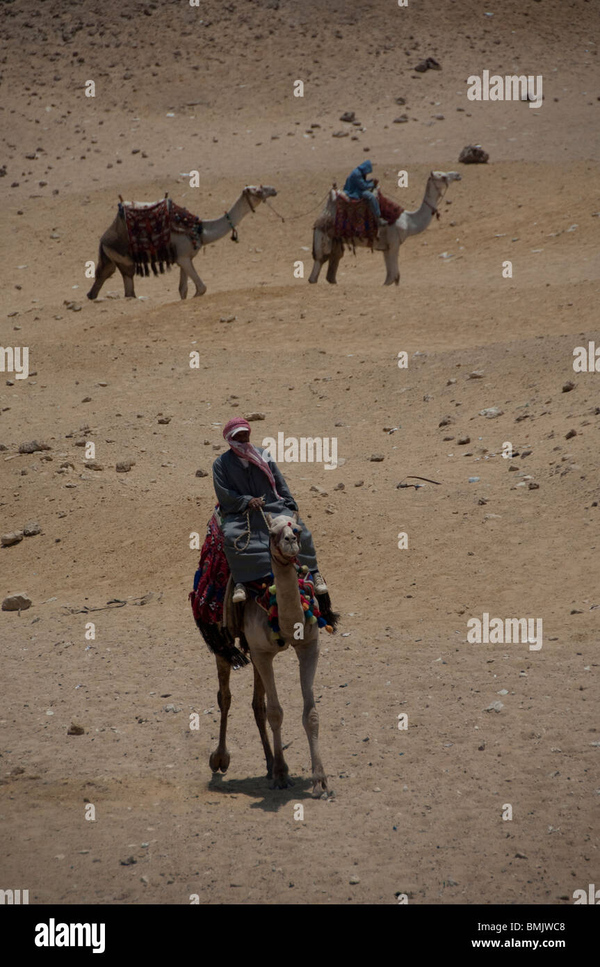 Egyptian camel driver hi-res stock photography and images - Alamy