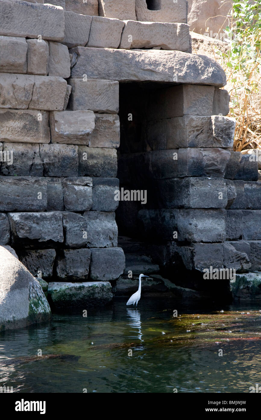 Nilometer on Elephantine Island, Aswan, Egypt Stock Photo - Alamy