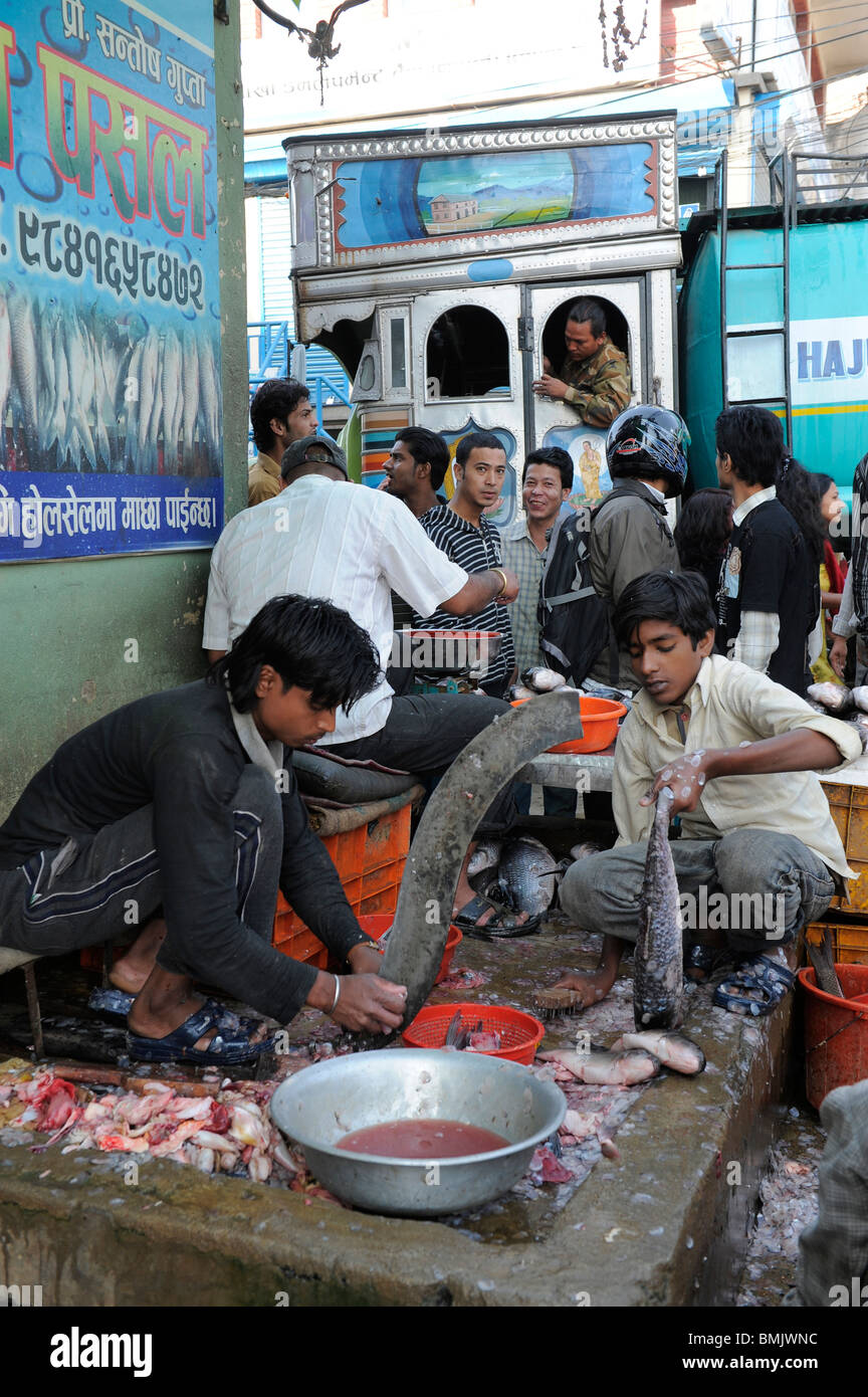 scaling fish using nepalese blade , fish market near thimi, kathmandu ...