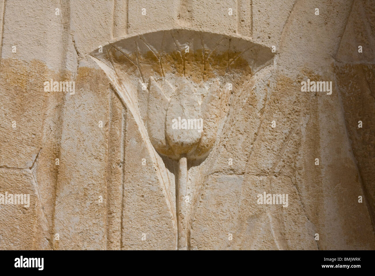 Lotus flower bas-relief on a wall of the Egyptian Russian Friendship ...