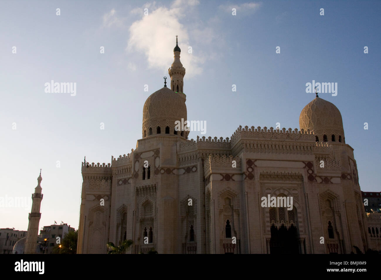 Attarine alexandria hi-res stock photography and images - Alamy