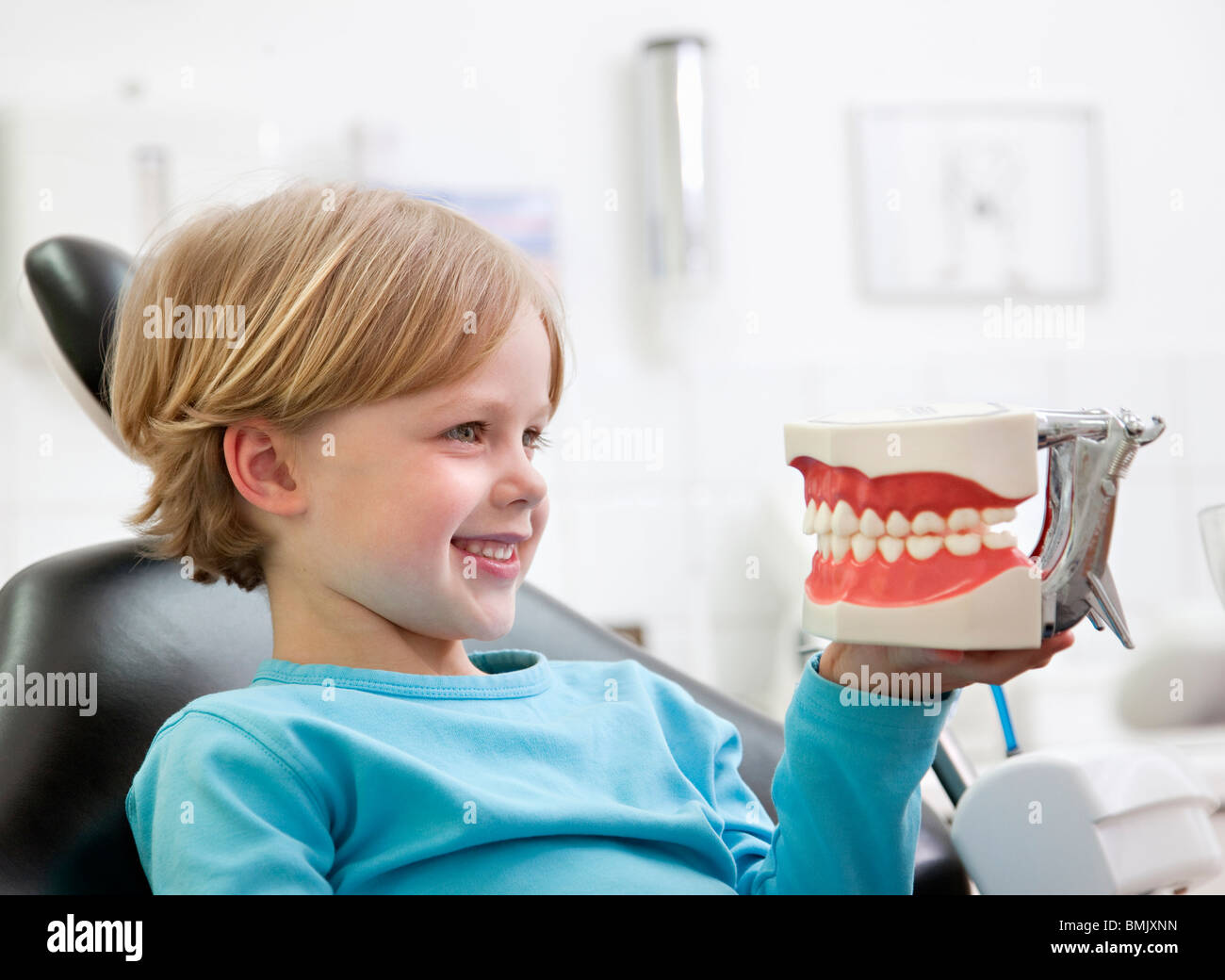 Teeth model hi-res stock photography and images - Alamy
