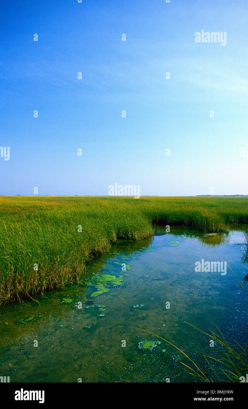 cap cod land Stock Photo - Alamy