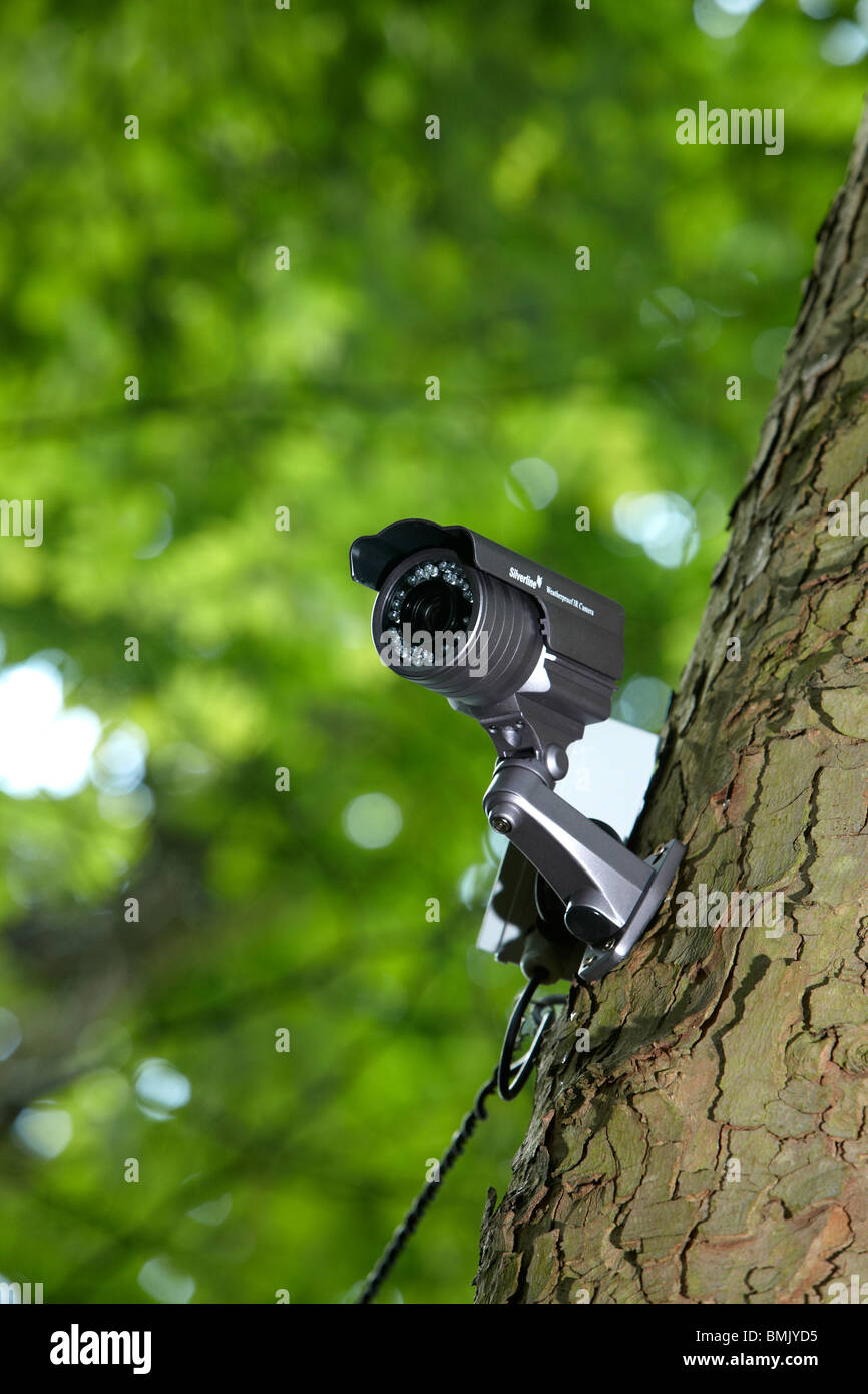 A CCTV camera positioned on a tree near to a housing estate Stock Photo ...