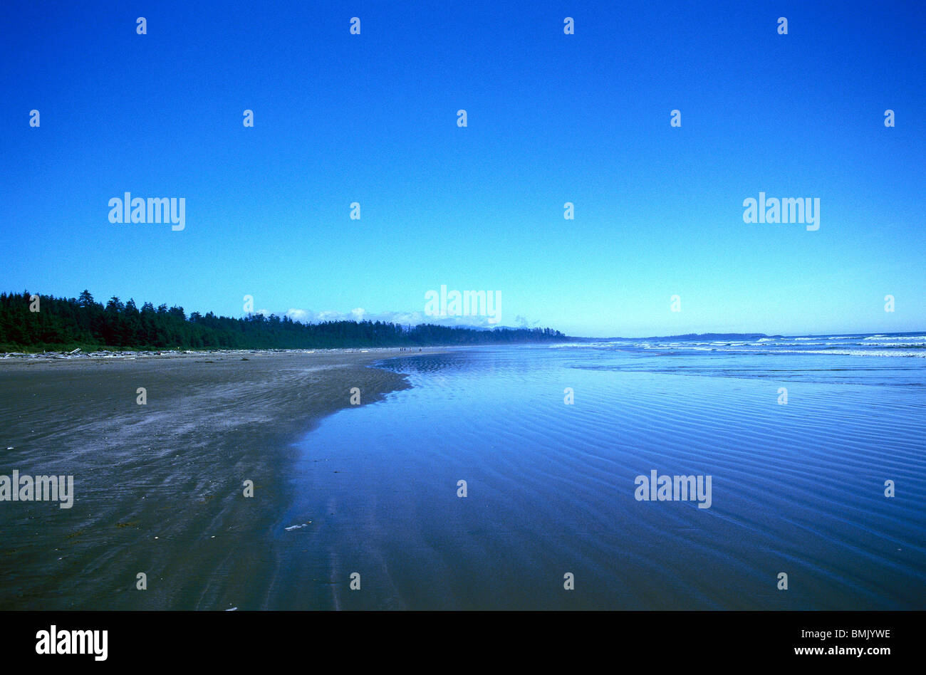 pacific rim beach Stock Photo - Alamy