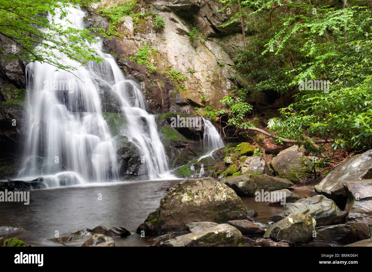 Quiet little creek waterfall hi-res stock photography and images - Alamy