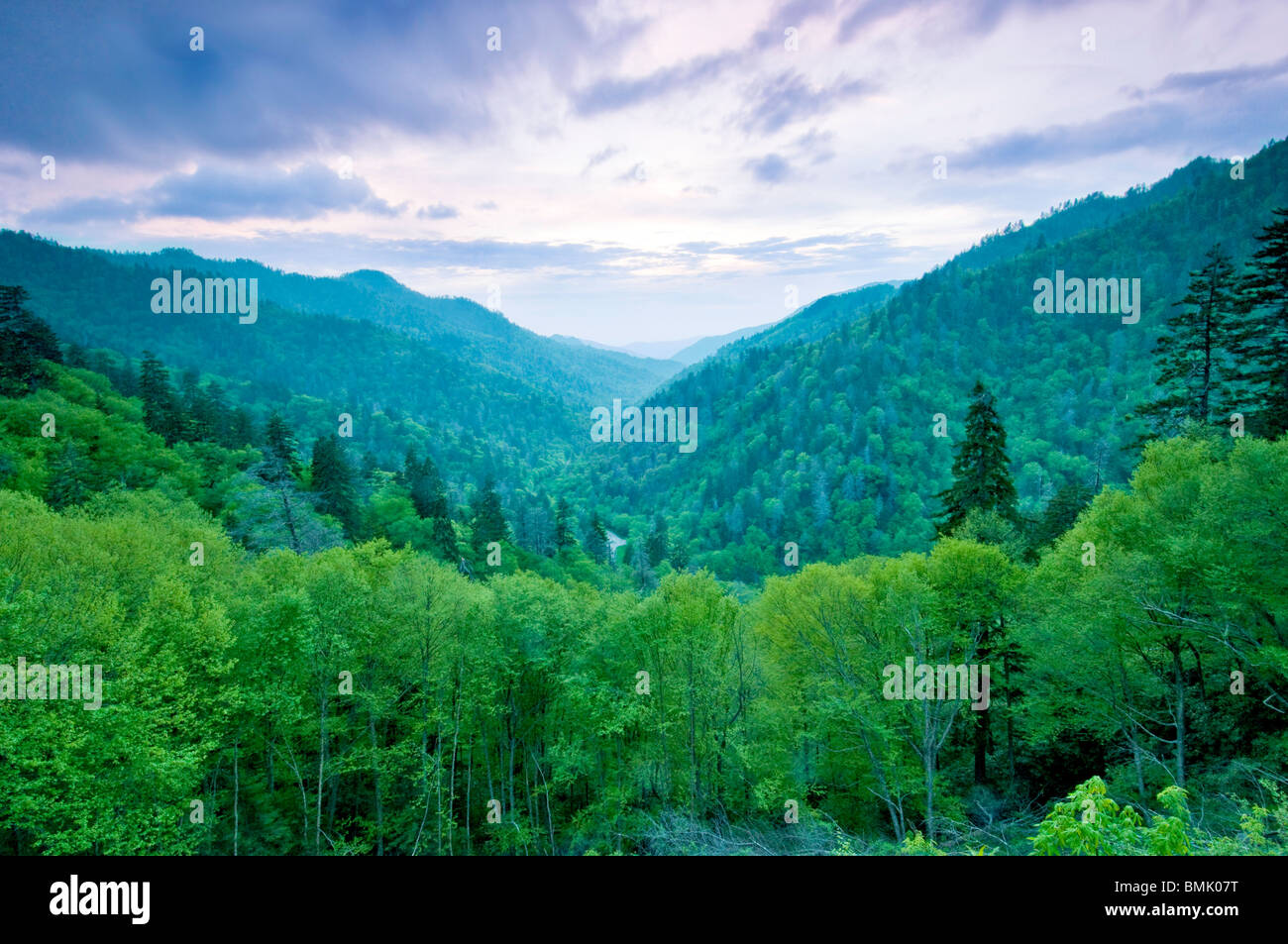 Beautiful view looking over mountains, Great Smoky Mountains National ...