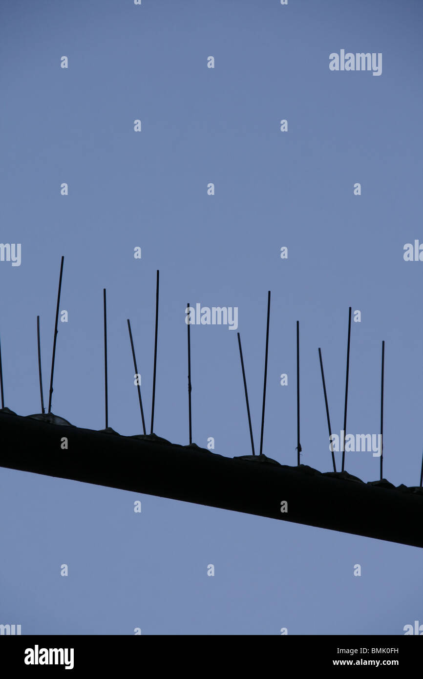 bird repellent metal spikes on monument building wall Stock Photo - Alamy