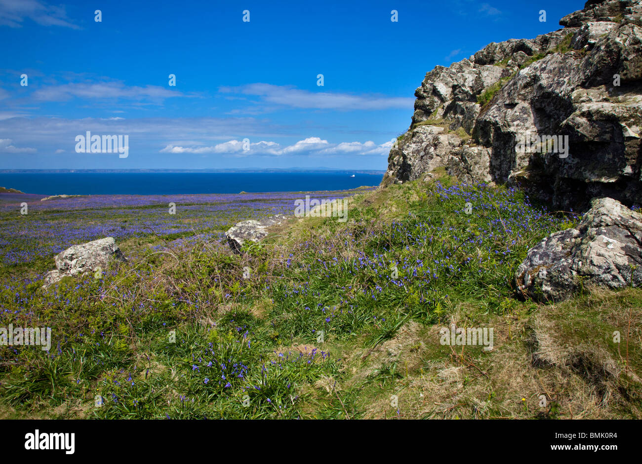 Isle of skomer hi-res stock photography and images - Alamy