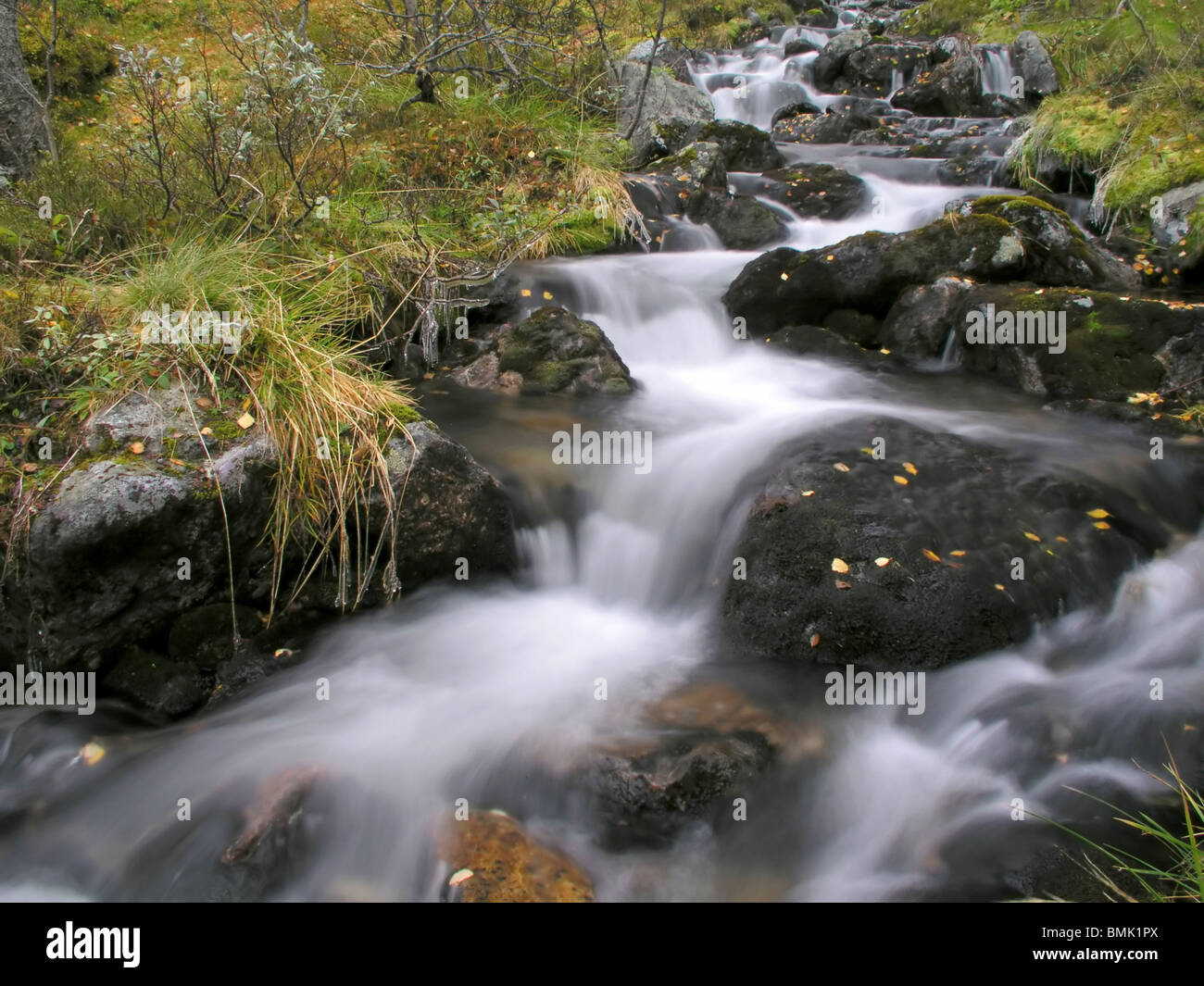 Beautiful landscape of flowing water from mountain stream Stock Photo ...