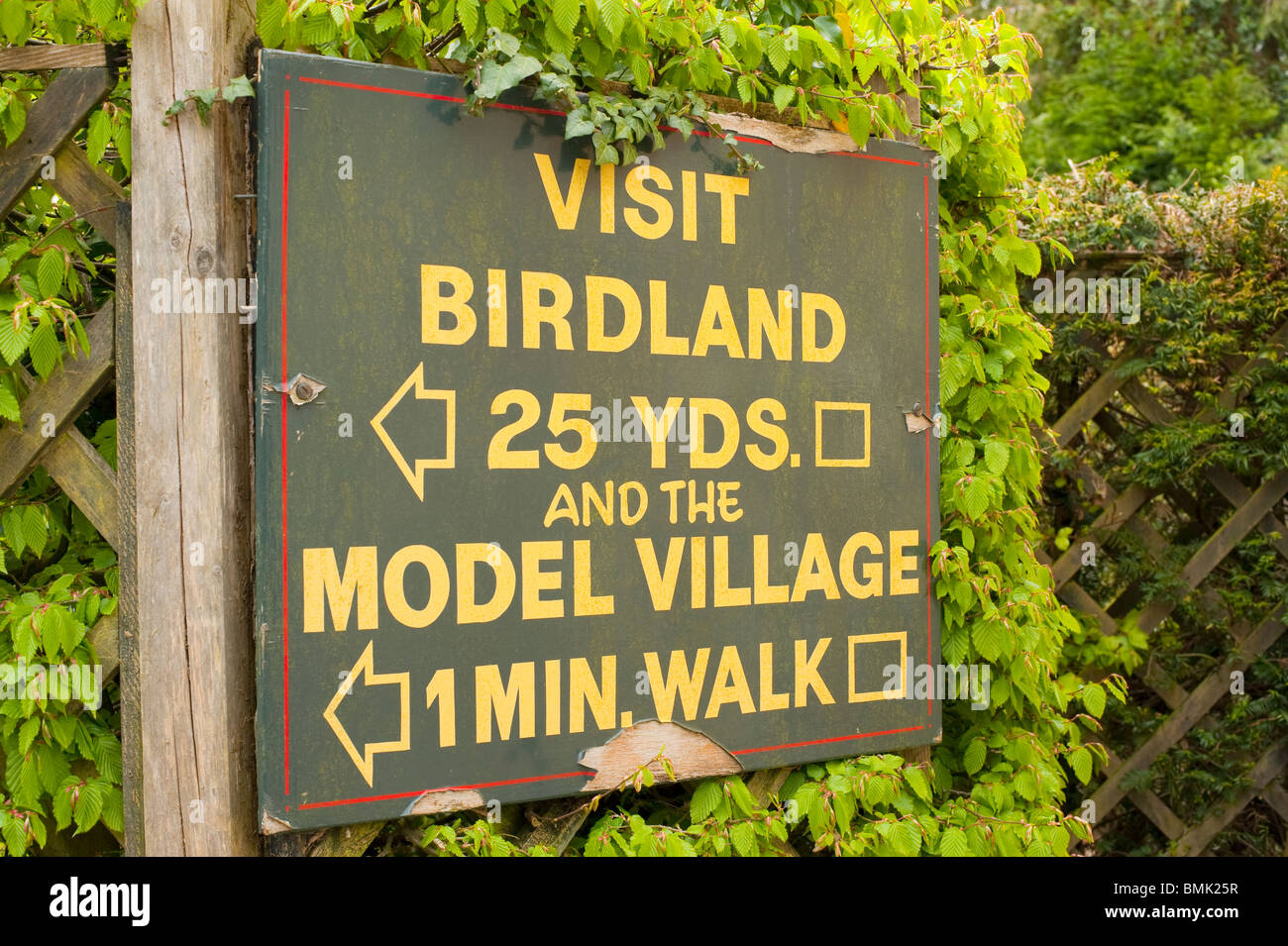 Birdland High Resolution Stock Photography and Images - Alamy