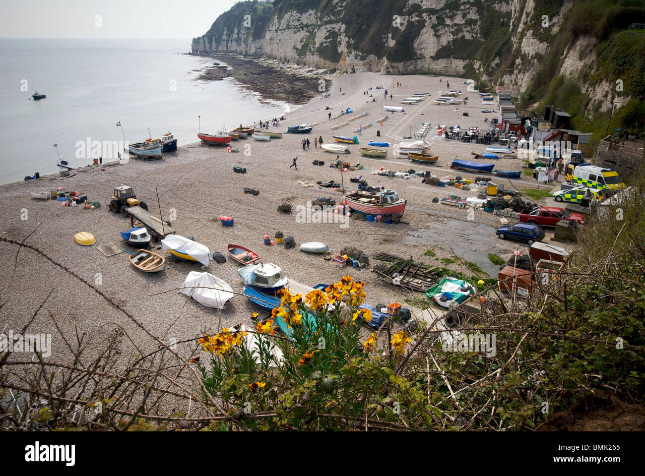 Beer Dorset UK Beach Stock Photo - Alamy