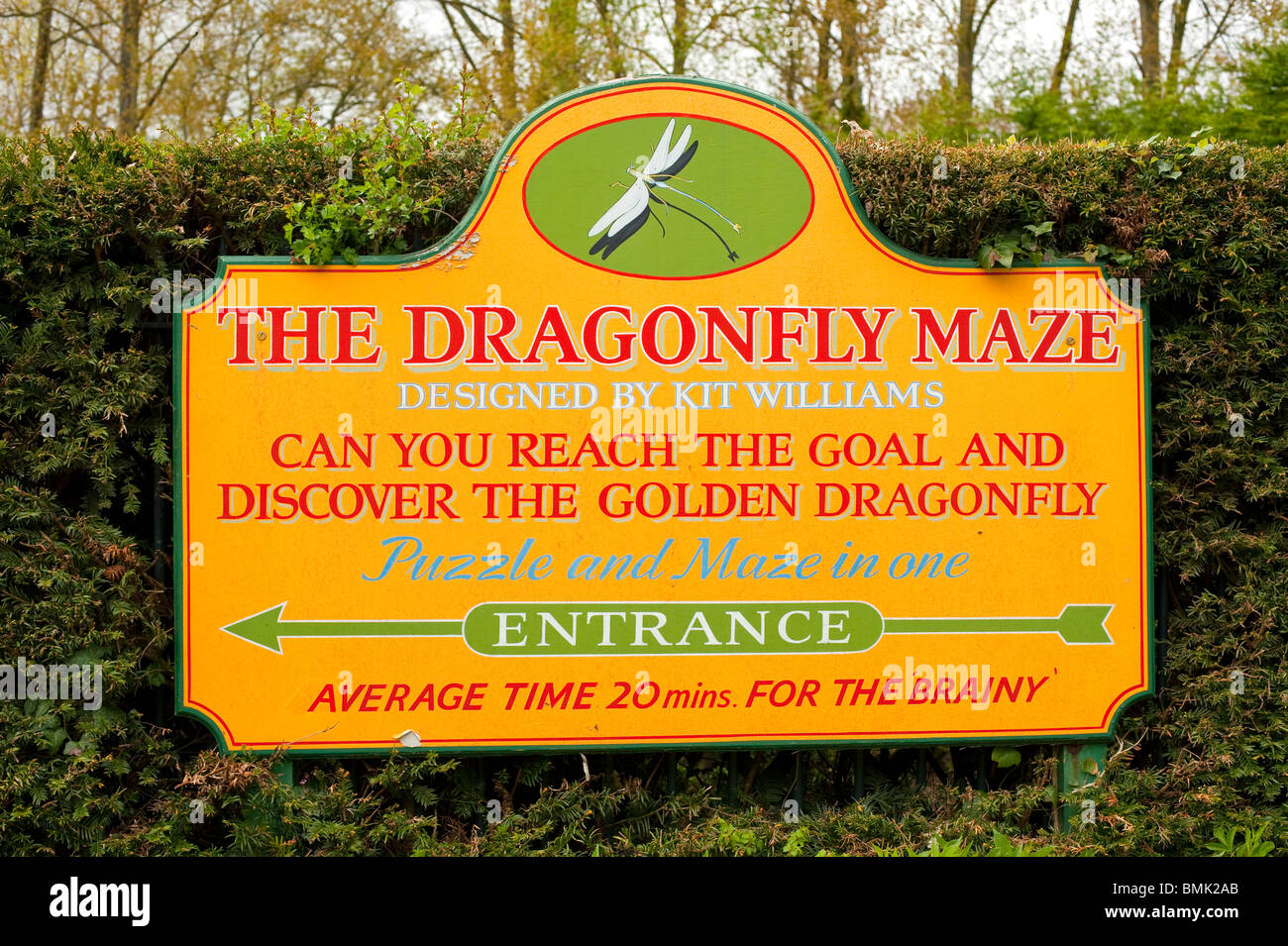 Dragonfly maze hi-res stock photography and images - Alamy