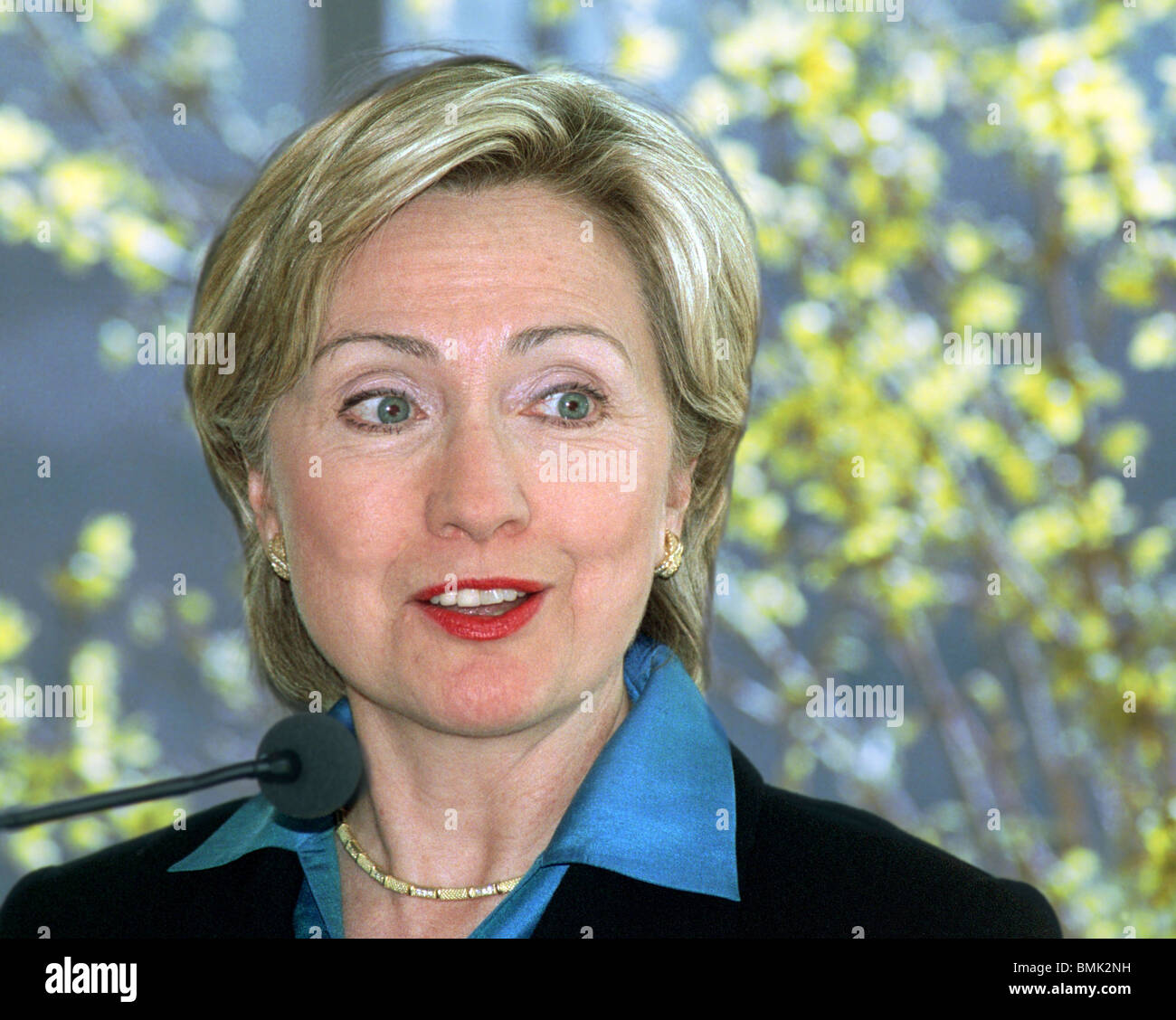 New York Senator Hillary Rodham Clinton speaks at a domestic violence ...