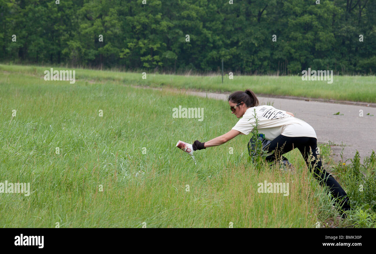 Volunteers cleaning invasive plants hi-res stock photography and images ...