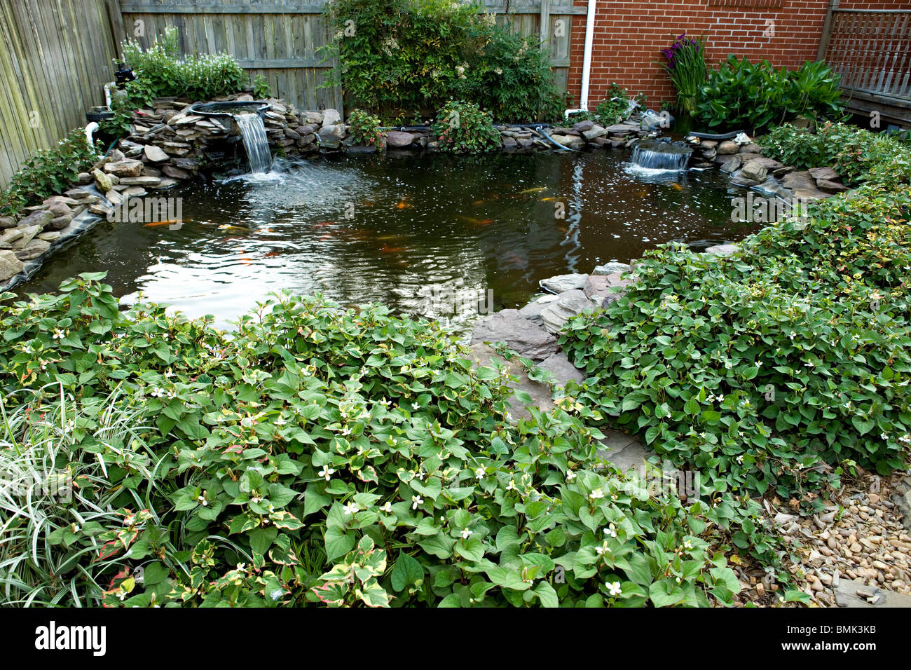 Koi waterfall hi-res stock photography and images - Alamy