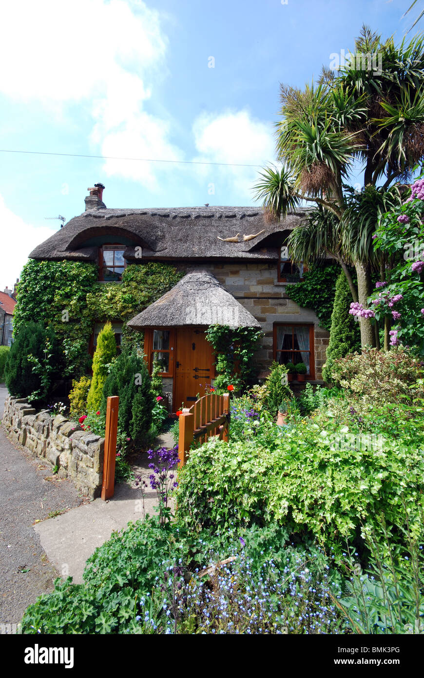 Traditional country cottage Stock Photo - Alamy
