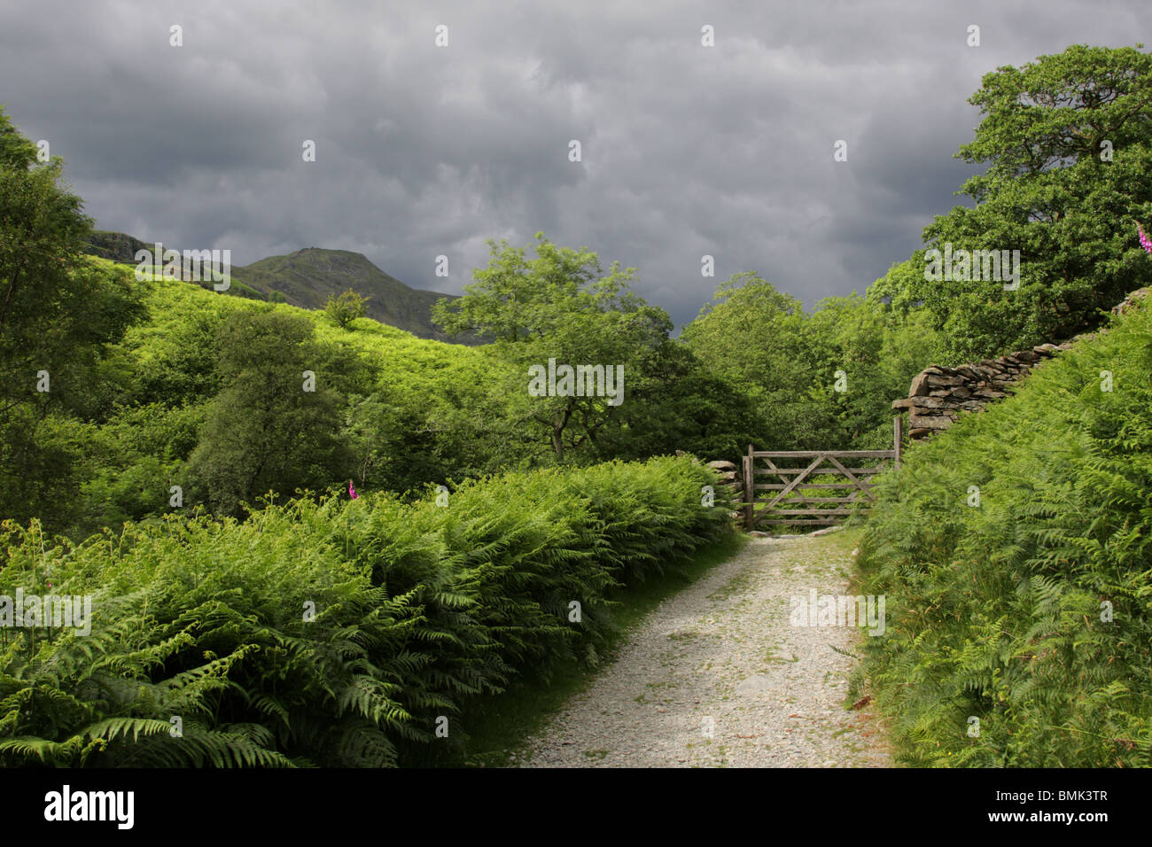 A Lake district path leading to the fells under a stormy sky Stock ...