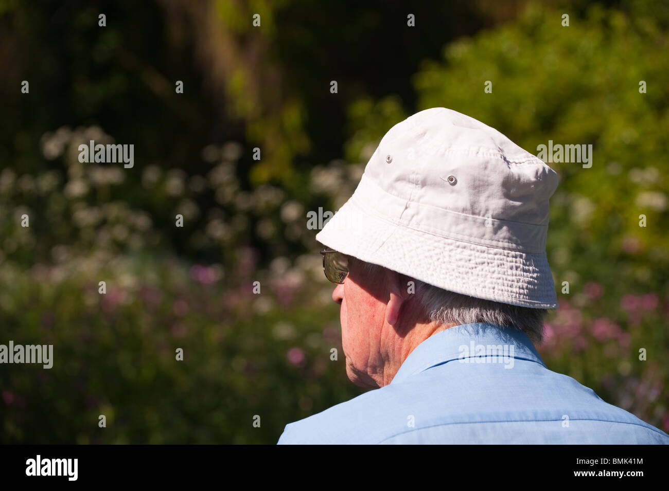 A MODEL RELEASED elderly man looks out to his spring garden in the Uk ...