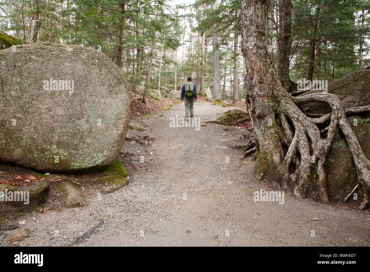 Franconia Notch State Park - Glacial Boulders along a walking trail at ...