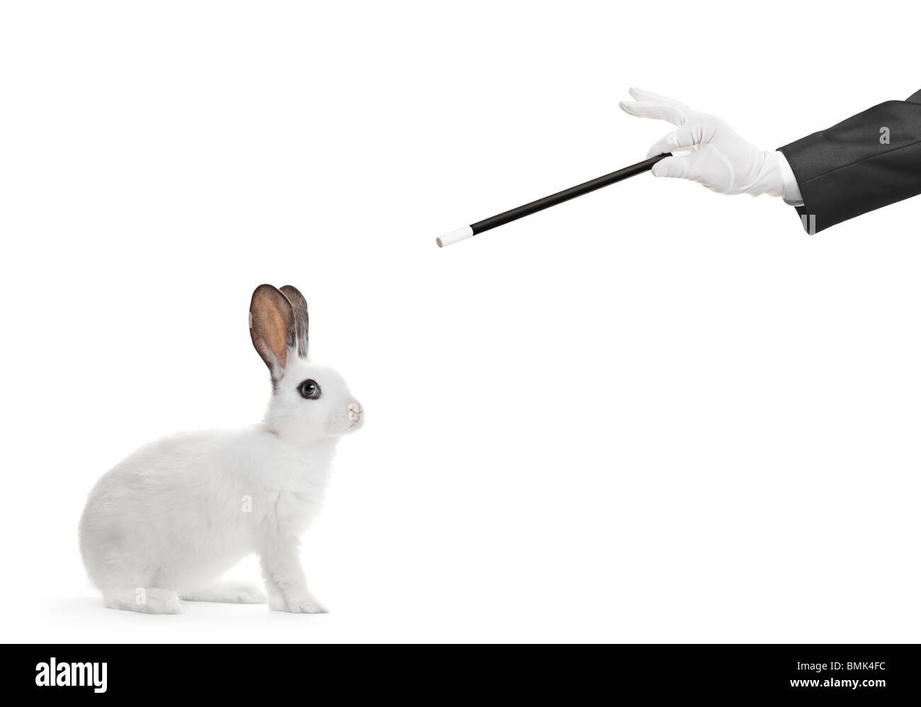 Wizard ear hi-res stock photography and images - Alamy