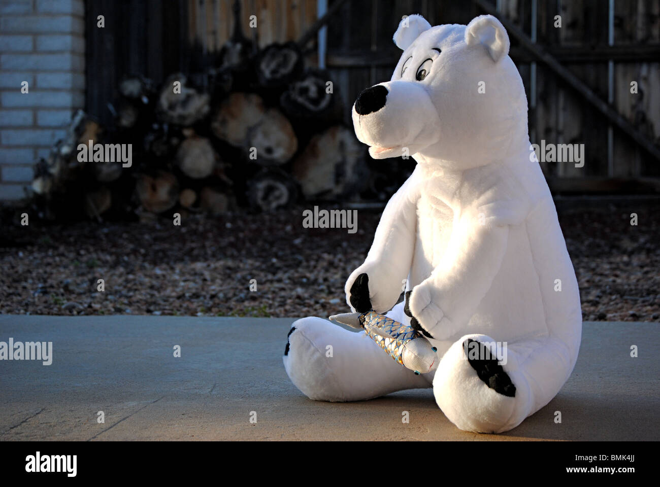 A stuffed white polar holding a fish gazing ahead with the evening ...