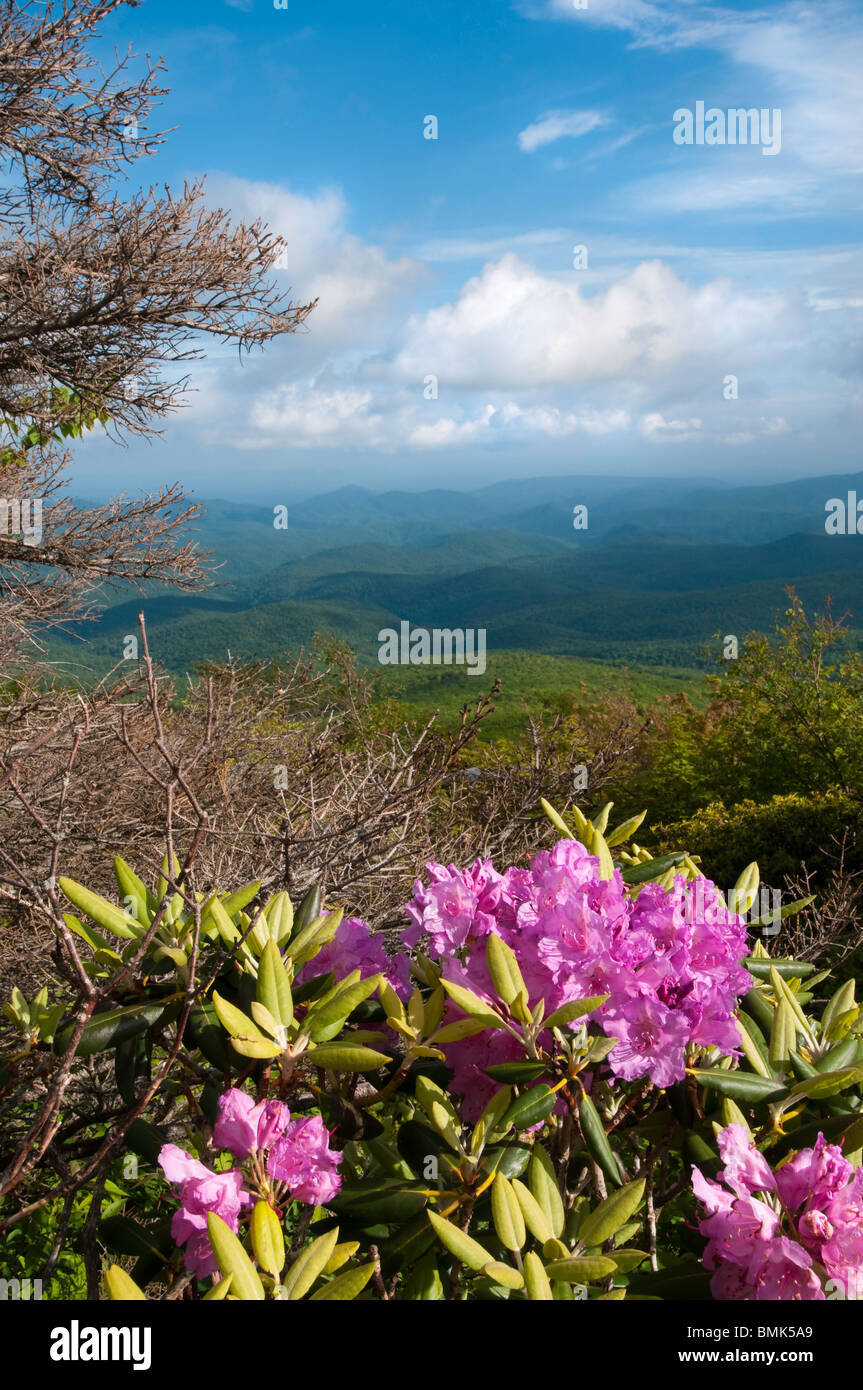 Altitude appalachian mountains hi-res stock photography and images - Alamy