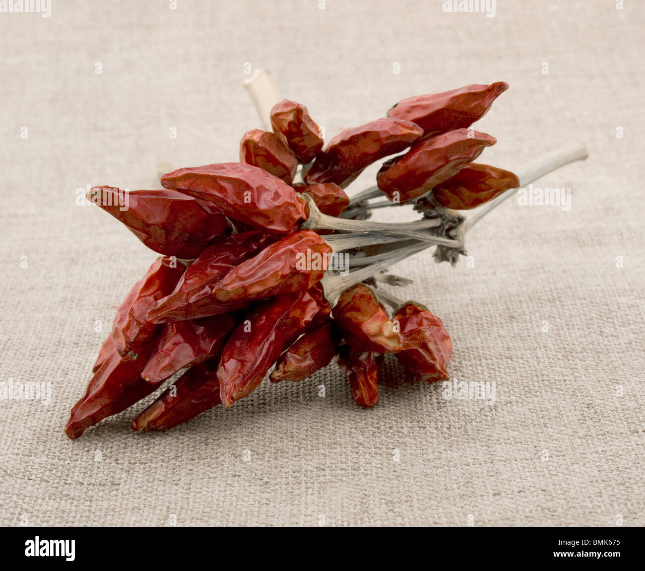 Dried red capsicum pepper on linen background - Hungarian seasoning ...