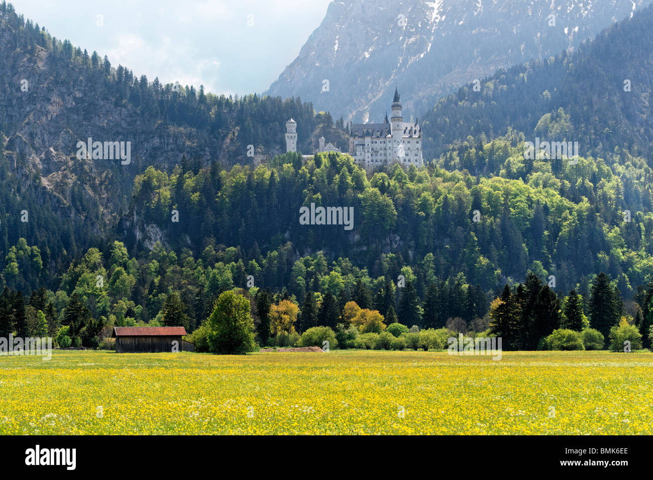 Neuschwanstein Castle, Bavaria, Germany. Wide view from below Stock ...