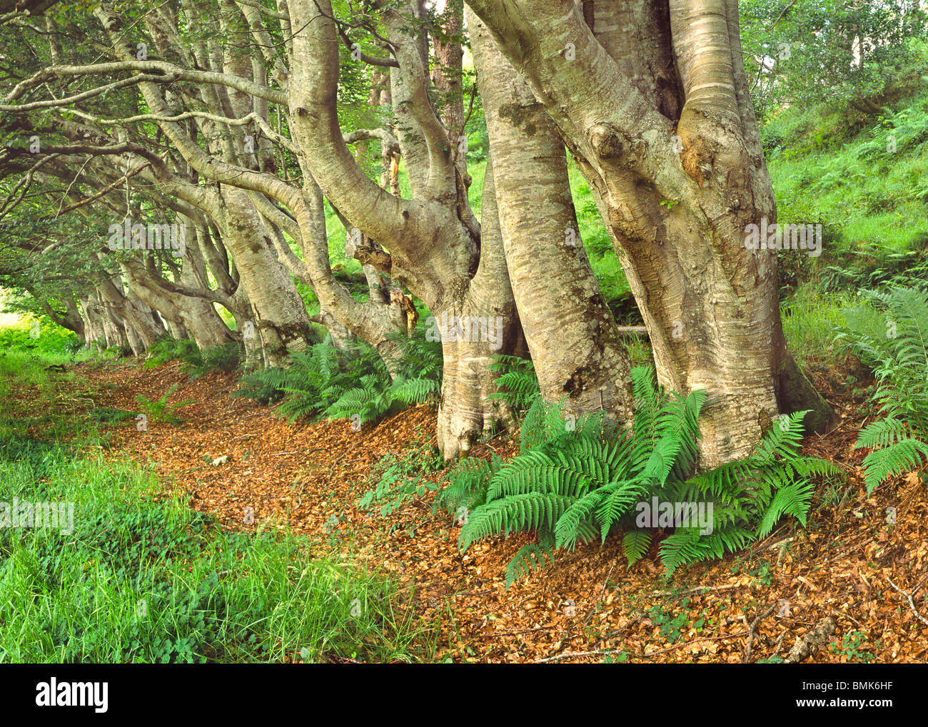 Achmore hi-res stock photography and images - Alamy