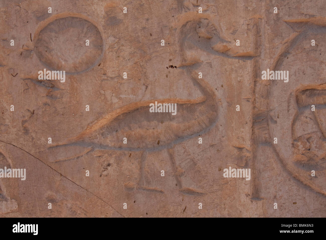 Bas-relief of a cartouche in the courtyard of the Temple of Seti I ...