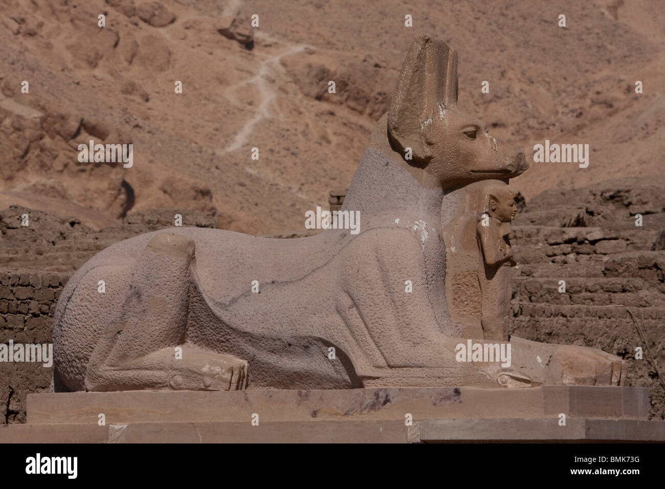 Anubis statue hi-res stock photography and images - Alamy