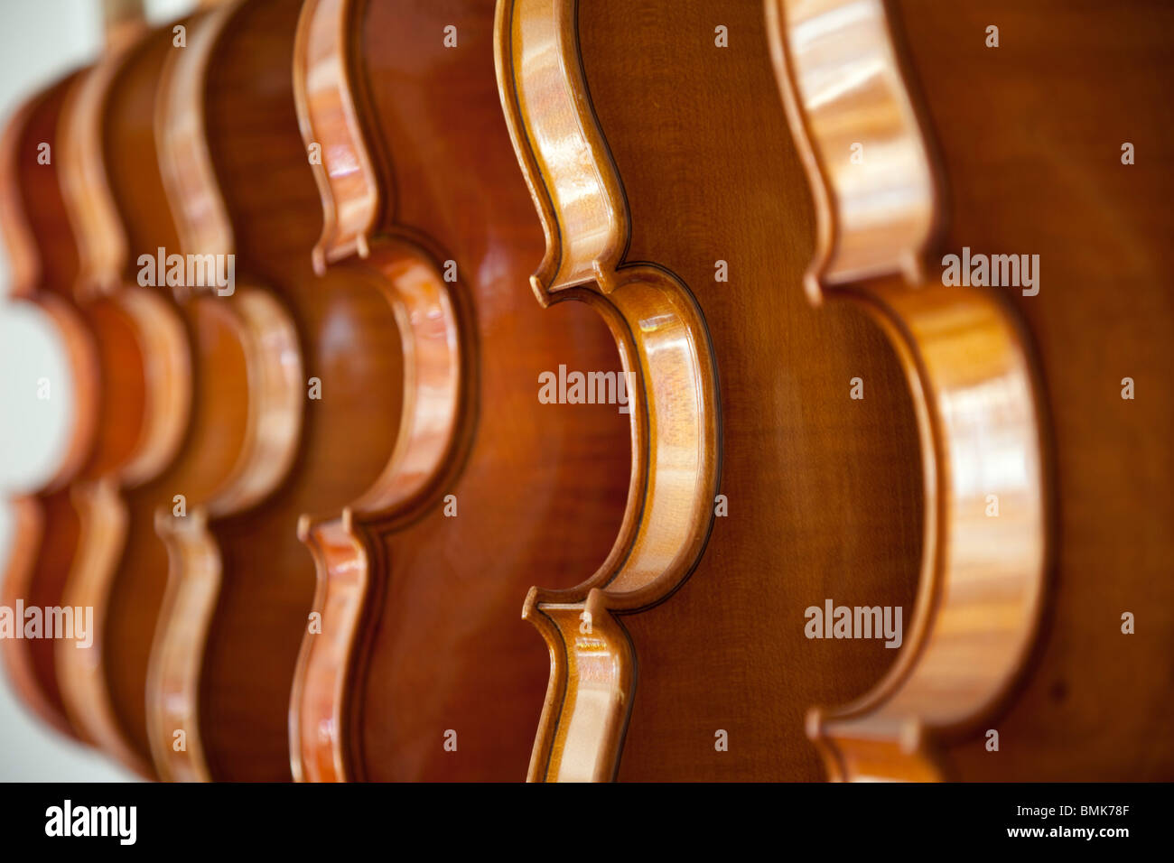 Line of violins hi-res stock photography and images - Alamy