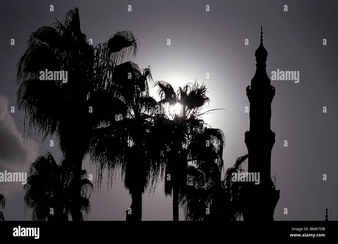 Al iskandariyah hi-res stock photography and images - Alamy