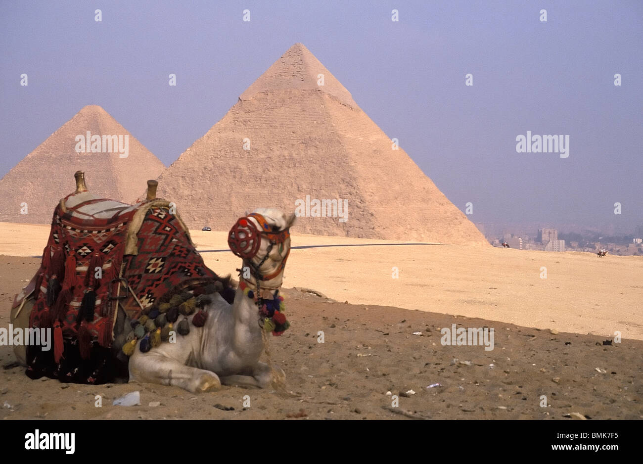 Al jizah hi-res stock photography and images - Alamy
