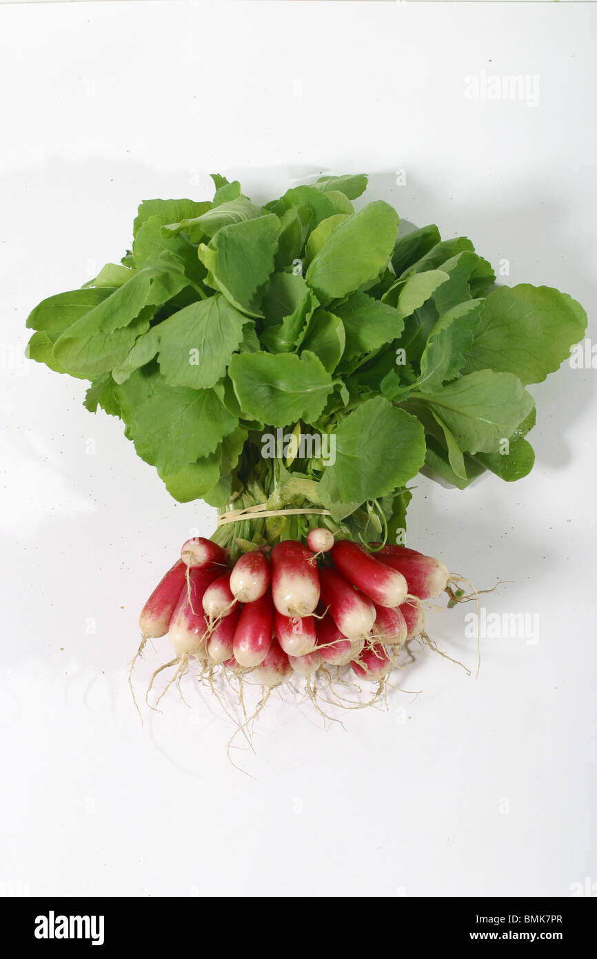 Bundle of red radish Stock Photo - Alamy