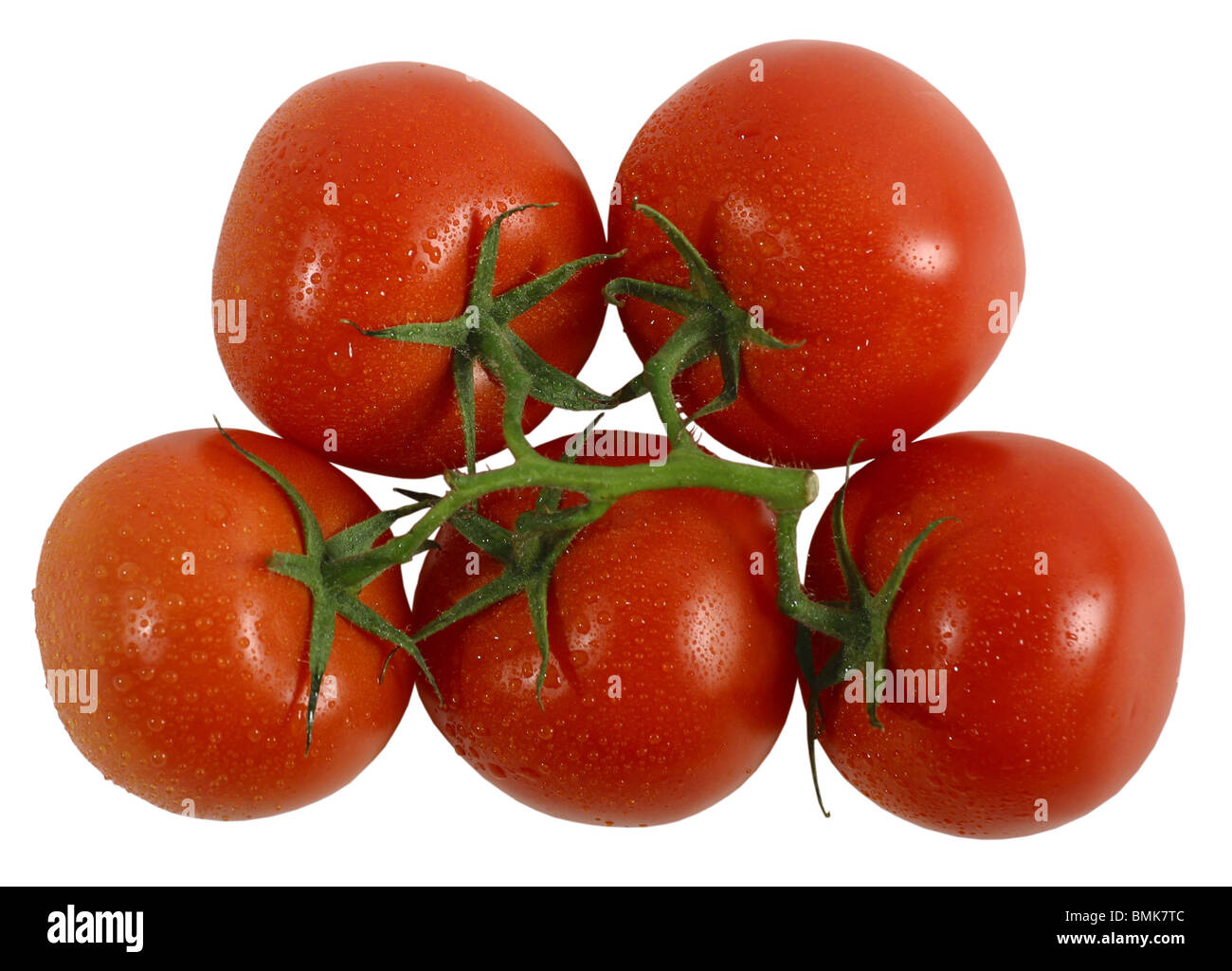 Bio library Cut Out Stock Images & Pictures - Alamy