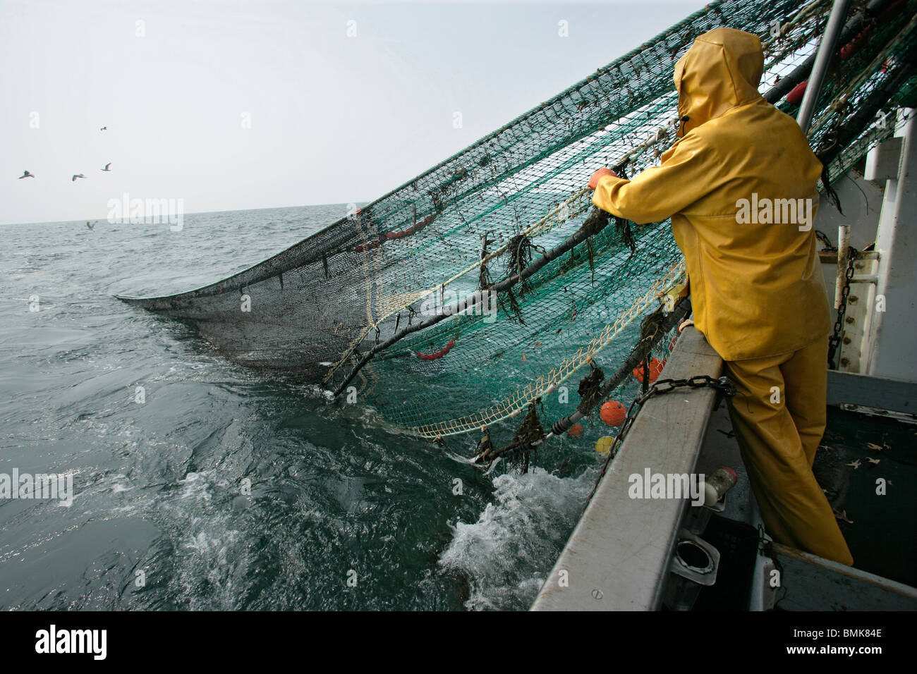 Fisherman using a trawl net Stock Photo - Alamy