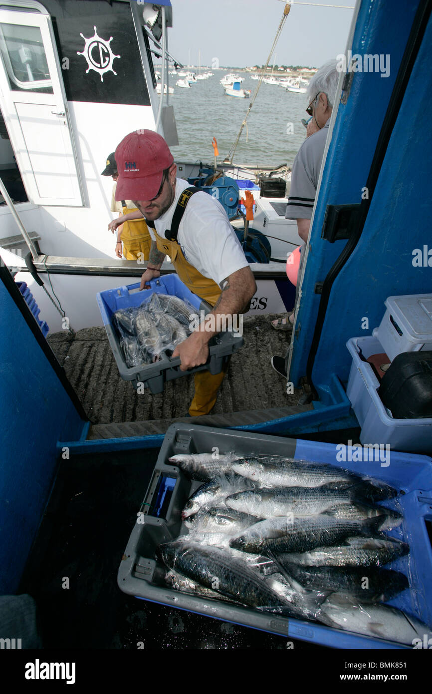 Unloading of a trawler Stock Photo - Alamy