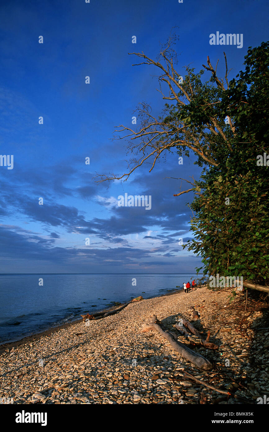 Estonia,Toila,beach,Gulf of Finland,Baltic cost Stock Photo - Alamy