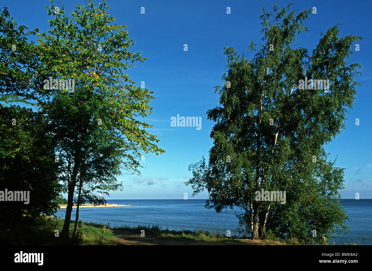 Estonia,Toila,Gulf of Finland,Baltic cost,beach Stock Photo - Alamy
